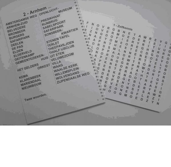 Denksport Grootletter Woordzoeker XL Voor Slechtzienden - Totale zorgwinkel